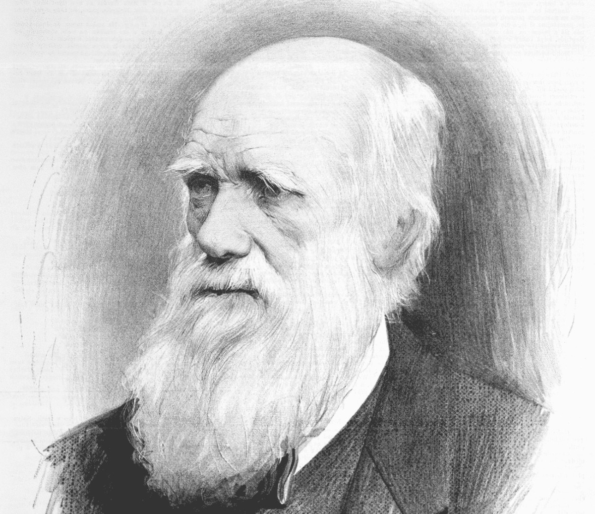 Una revisión crítica de «El origen del hombre y la selección en ...